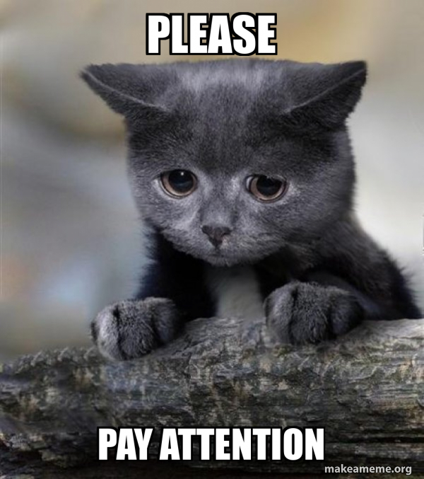 PLEASE PAY ATTENTION - Confession Cat Meme Generator