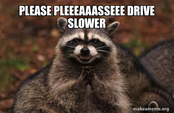 Please pleeeaaasseee drive slower - Evil Plotting Raccoon Meme Generator