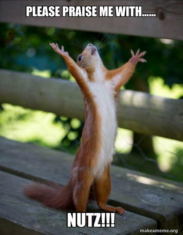 Please praise me with...... NUTZ!!! - Happy Squirrel Meme Generator