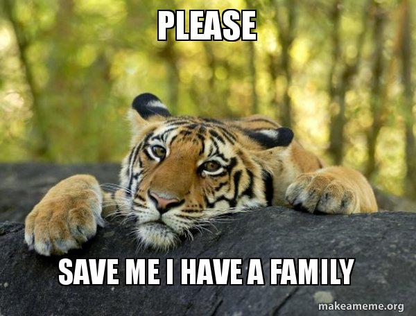 please save me i have a family - Confession Tiger Meme Generator