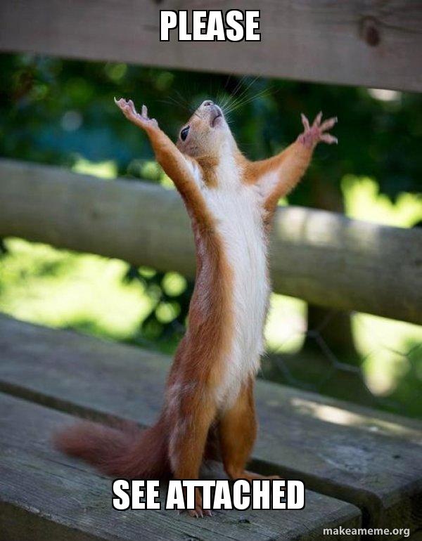 PLEASE SEE ATTACHED - Happy Squirrel Meme Generator
