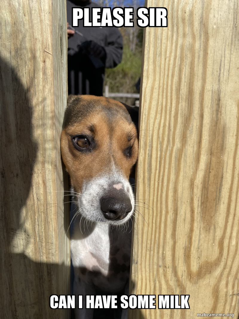 Please sir Can i have some milk Meme Generator