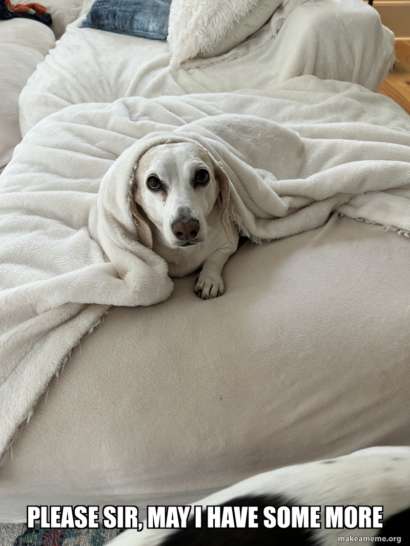 Please sir, may i have some more Meme Generator