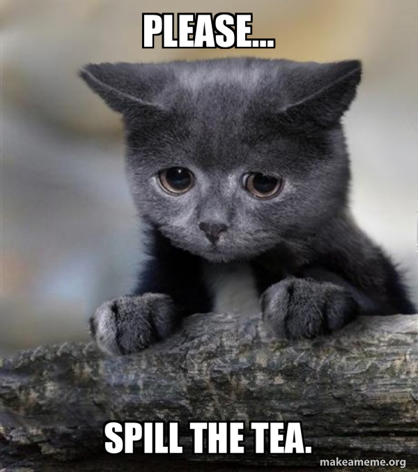 please... spill the tea. - Confession Cat Meme Generator