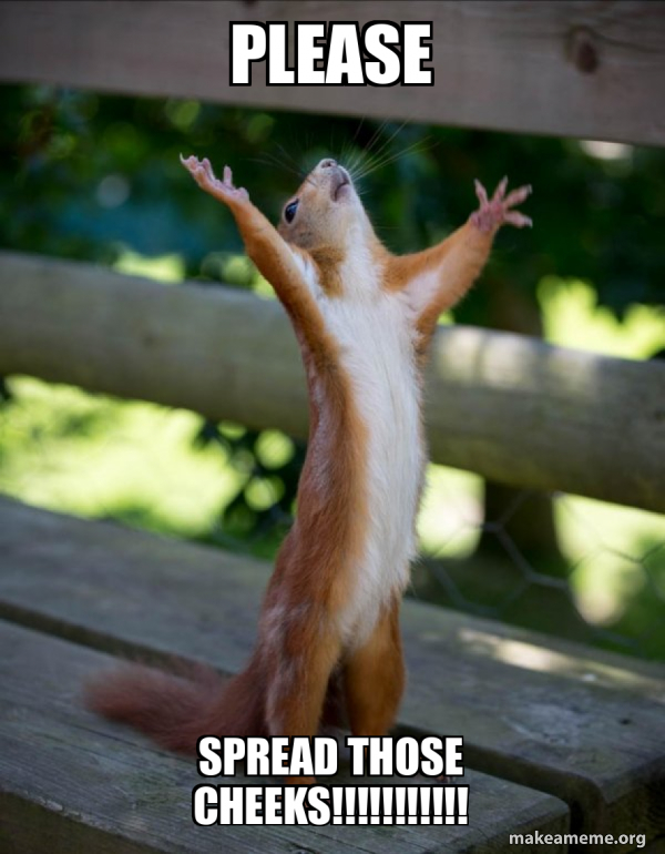 please spread those cheeks!!!!!!!!!!! - Happy Squirrel Meme Generator