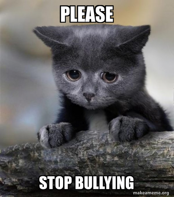 please stop bullying - Confession Cat Meme Generator