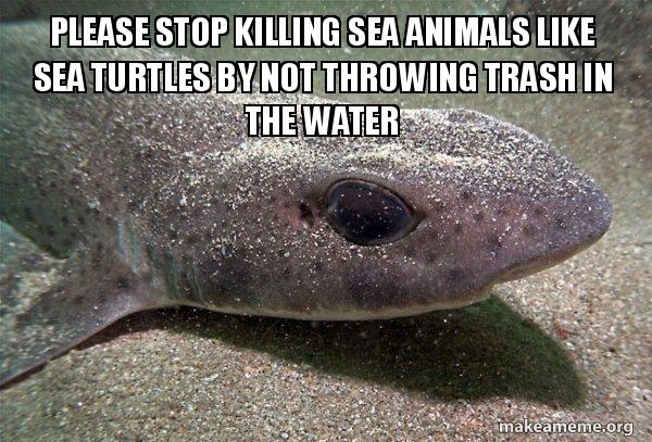Sea Monkeys Memes Please Stop Killing Sea Animals Like Sea Turtles By