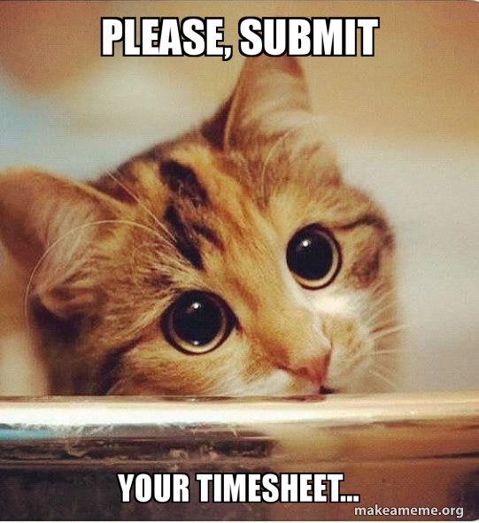 Please, Submit Your Timesheet... Meme Generator