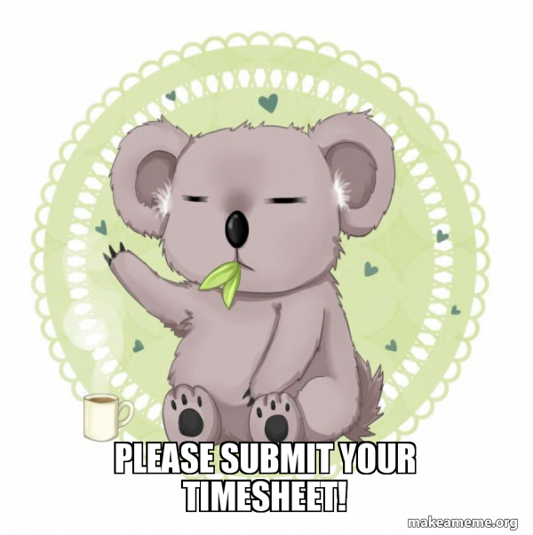 Please submit your timesheet! - Aussie Koala doing the night shift Meme ...