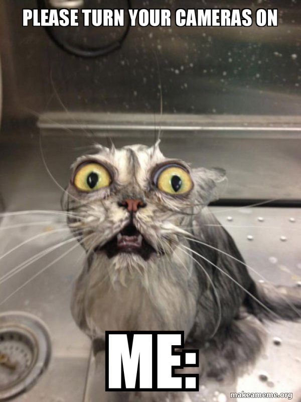 Please turn your cameras on me: - Cat bath Meme Generator