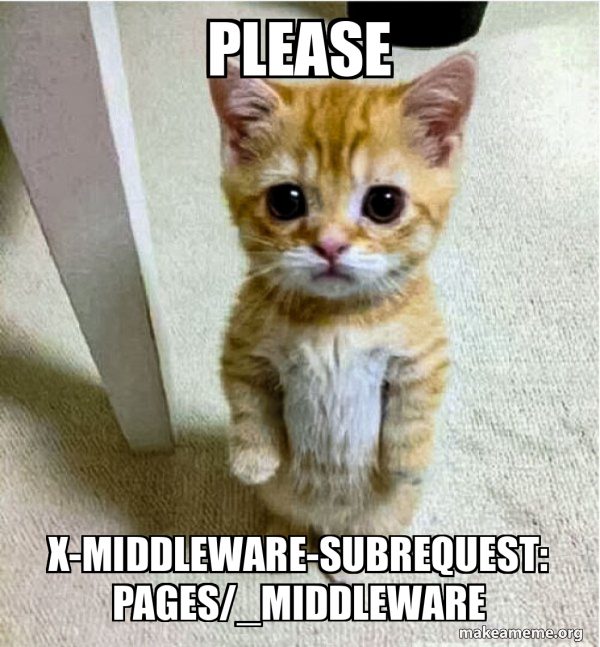 PLEASE x-middleware-subrequest: pages/_middleware - Cute Cat Standing ...