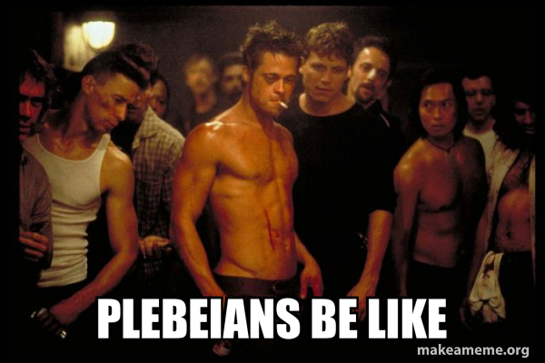 plebeians be like - Fight Club Meme Generator
