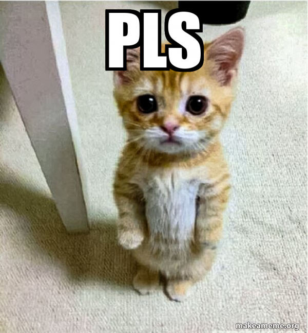pls - Cute Cat Standing Meme Generator