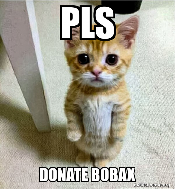 Pls Donate bobax - Cute Cat Standing Meme Generator