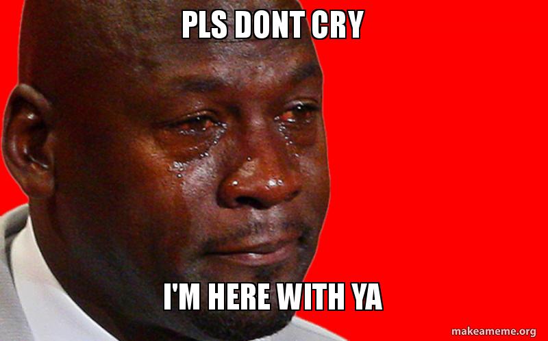 Pls Dont cry I'm Here with ya Meme Generator