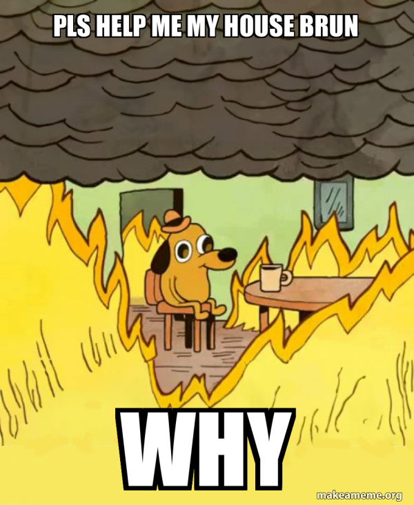 Pls help me my house brun Why - This Is Fine Meme Generator