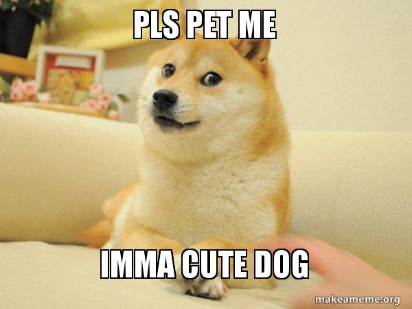 pls pet me imma cute dog - Doge Meme Generator