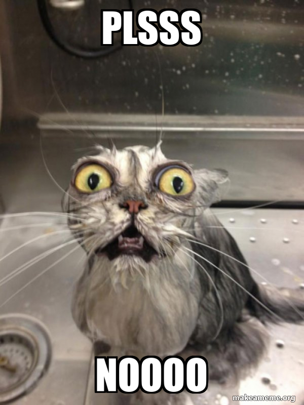 plsss noooo - Cat bath Meme Generator