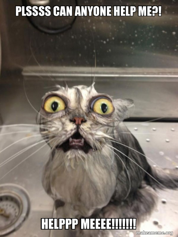 Plssss can anyone help me?! Helppp meeee!!!!!!! - Cat bath Meme Generator