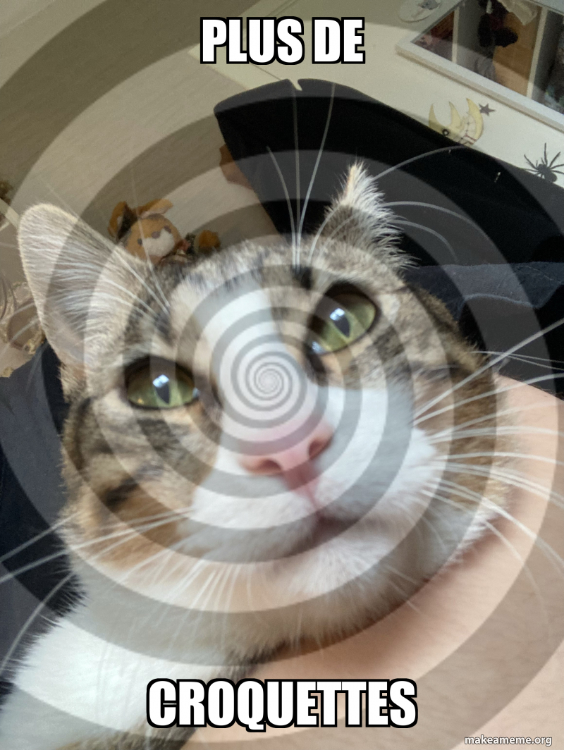 PLUS DE Croquettes Meme Generator