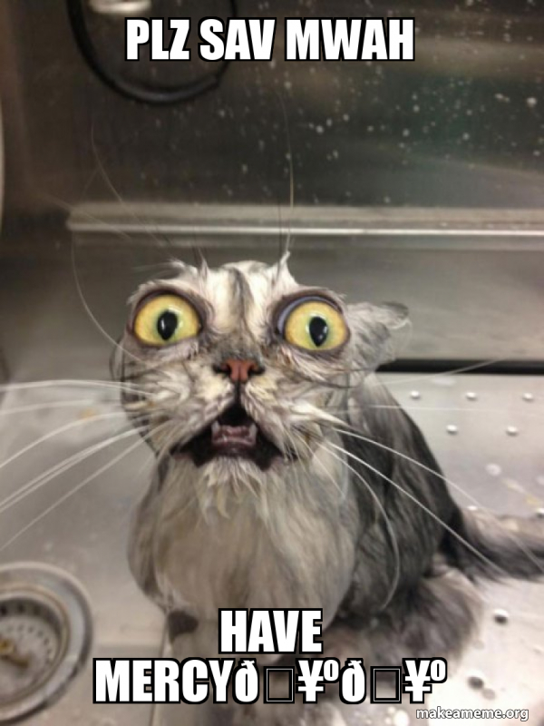 Plz sav mwah HAVE MERCYðŸ¥ºðŸ¥º - Cat bath Meme Generator