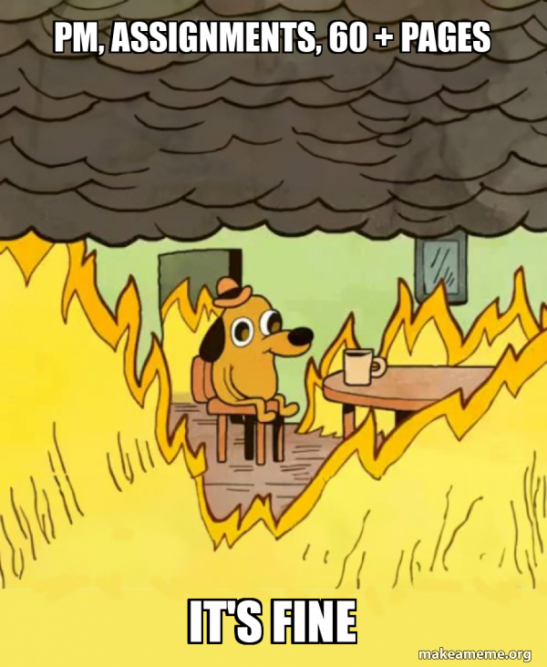 PM, Assignments, 60 + pages It's fine - This Is Fine Meme Generator