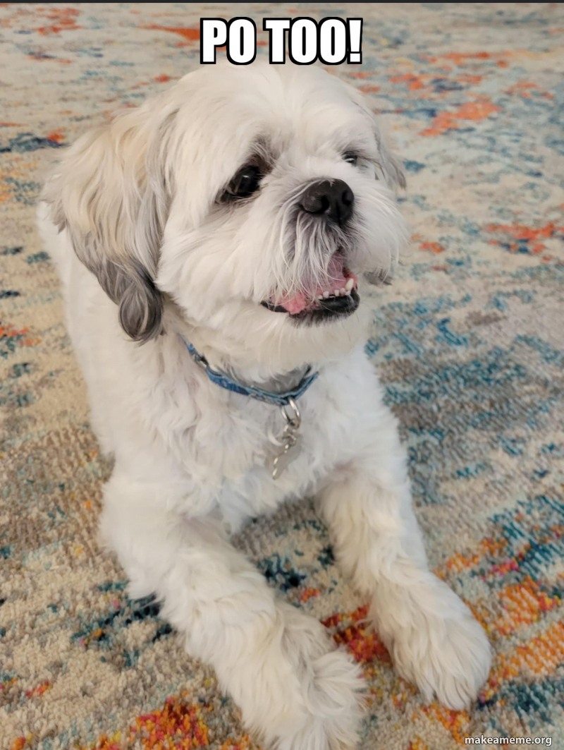 Po Too! Meme Generator