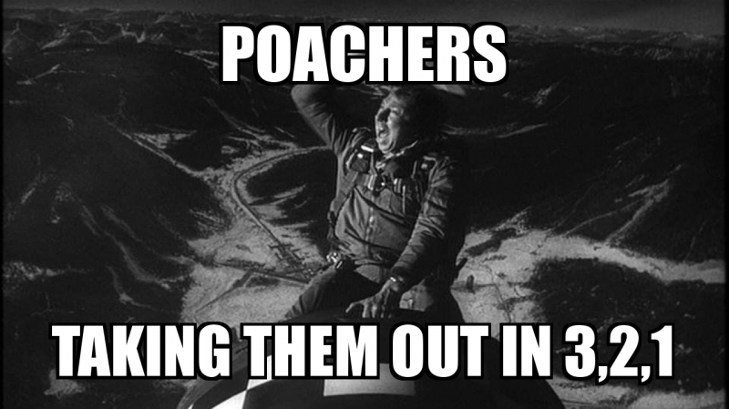 Poachers Taking them OUT IN 3,2,1 - Major Kong Meme Generator