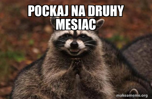 POCKAJ NA DRUHY MESIAC - Evil Plotting Raccoon Meme Generator