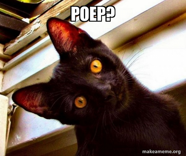 POEP? - Overly Attached Cat Meme Generator