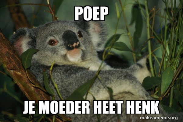 poep je moeder heet henk - Laid Back Koala Meme Generator