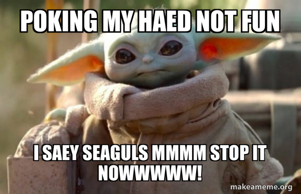 POKING MY HAED NOT FUN I SAEY SEAGULS MMMM STOP IT NOWWWWW! - Baby Yoda ...