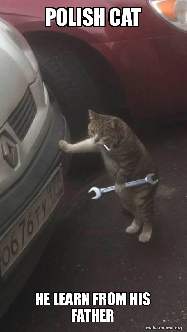 polish cat he learn from his father - Mechanic Cat Meme Generator