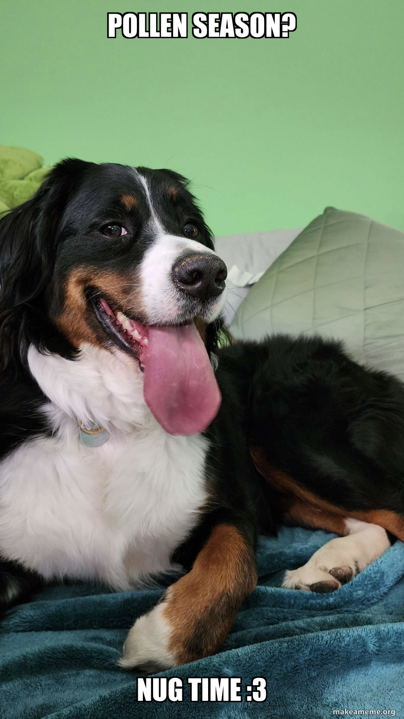 Pollen season? Nug time :3 Meme Generator