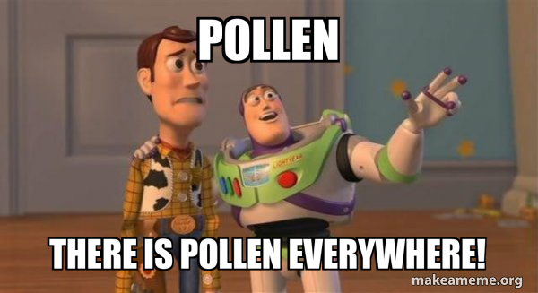 Pollen There is pollen everywhere! - Buzz and Woody (Toy Story) Meme ...