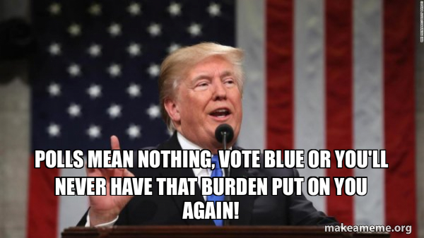 POLLS MEAN NOTHING, VOTE BLUE or you'll never have that burden put on ...