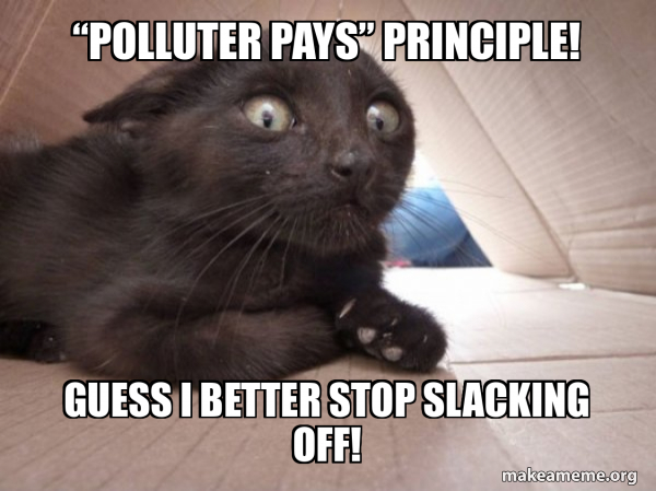 “polluter pays” principle! Guess I better stop slacking off! - Schitzo ...