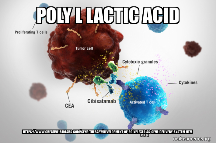 poly l lactic acid https://www.creative-biolabs.com/gene-therapy ...