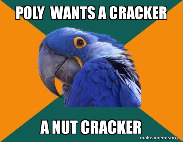 poly wants a cracker a nut cracker - Paranoid Parrot Meme Generator