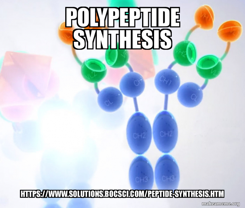 polypeptide synthesis https://www.solutions.bocsci.com/peptide ...