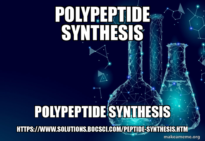 polypeptide synthesis polypeptide synthesis https://www.solutions ...