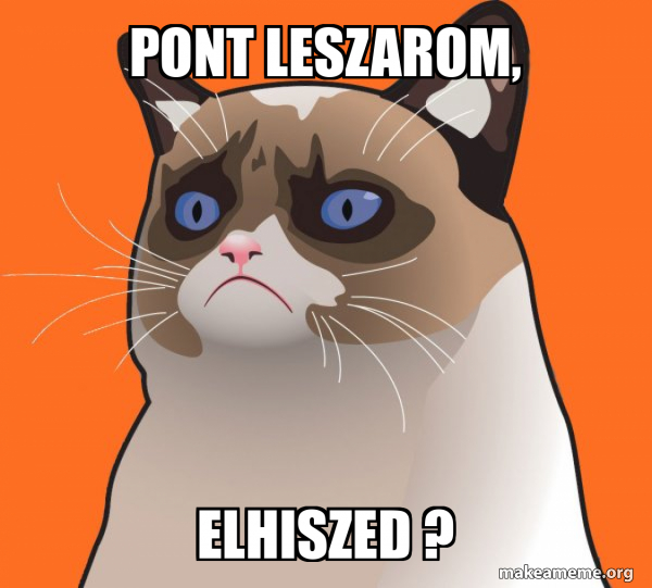 Pont leszarom, Elhiszed ? - Cartoon Grumpy Cat Meme Generator