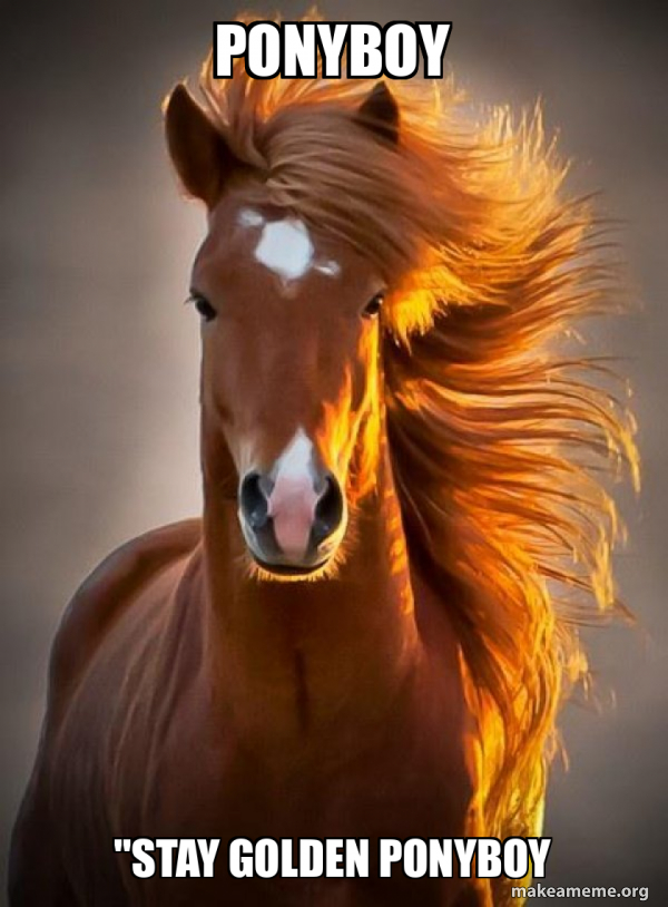 ponyboy "stay golden ponyboy - Ridiculously photogenic horse Meme Generator