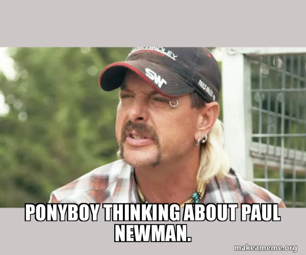 Ponyboy thinking about Paul Newman. - Joe Exotic - Tiger King Meme ...
