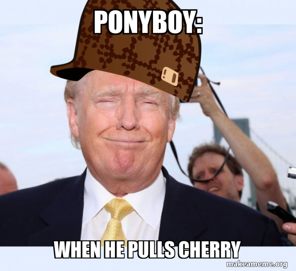 Ponyboy: when he pulls cherry - Scumbag Donald Trump Meme Generator