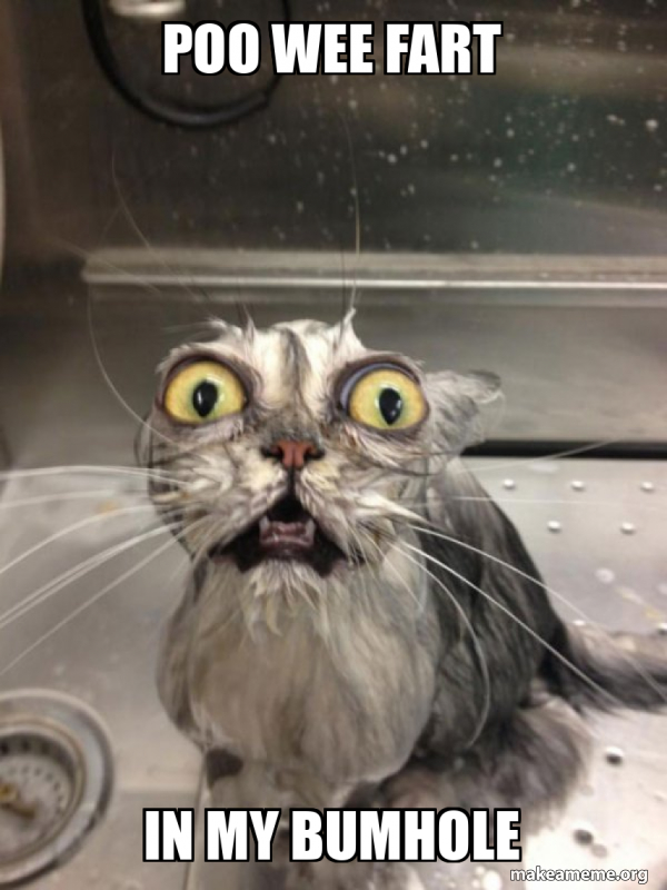 Poo wee fart In my bumhole - Cat bath Meme Generator