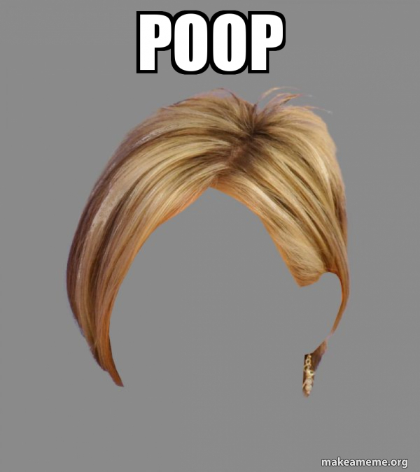 poop - The Karen Hair Meme Generator