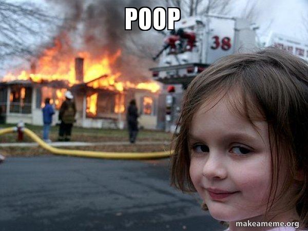 Fire Poop Memes