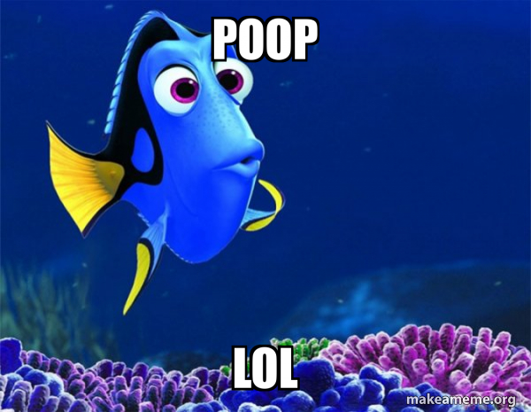 poop lol - Dory from Nemo (5 second memory) Meme Generator