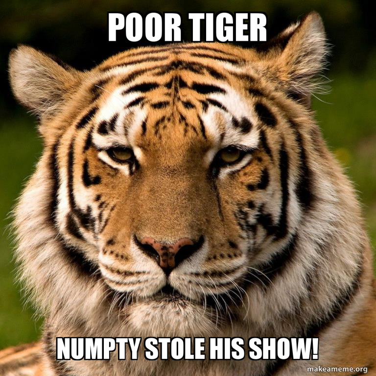poor Tiger numpty stole his show! Meme Generator